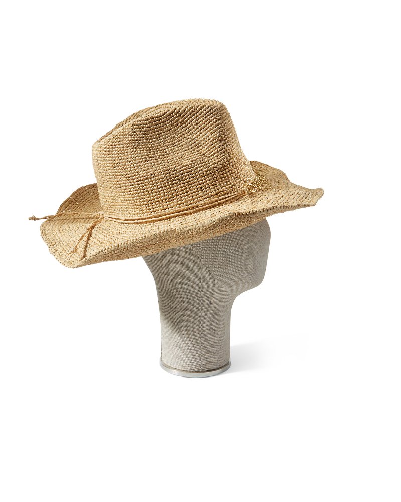 Interlocking Rings Cowboy Hat